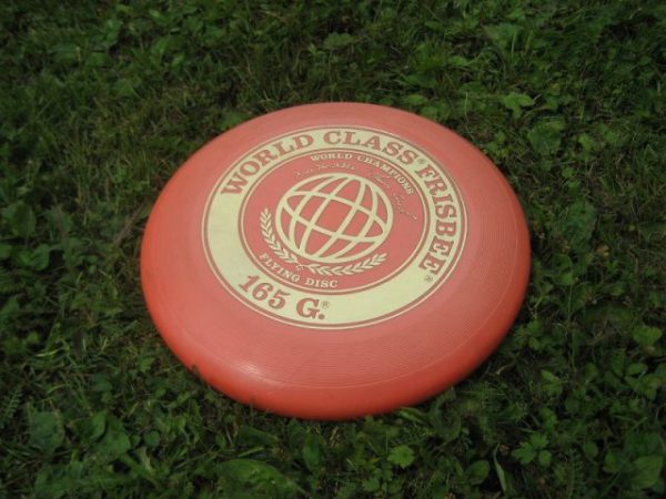 frisbee_world_class – Pasji frizbi Slovenija